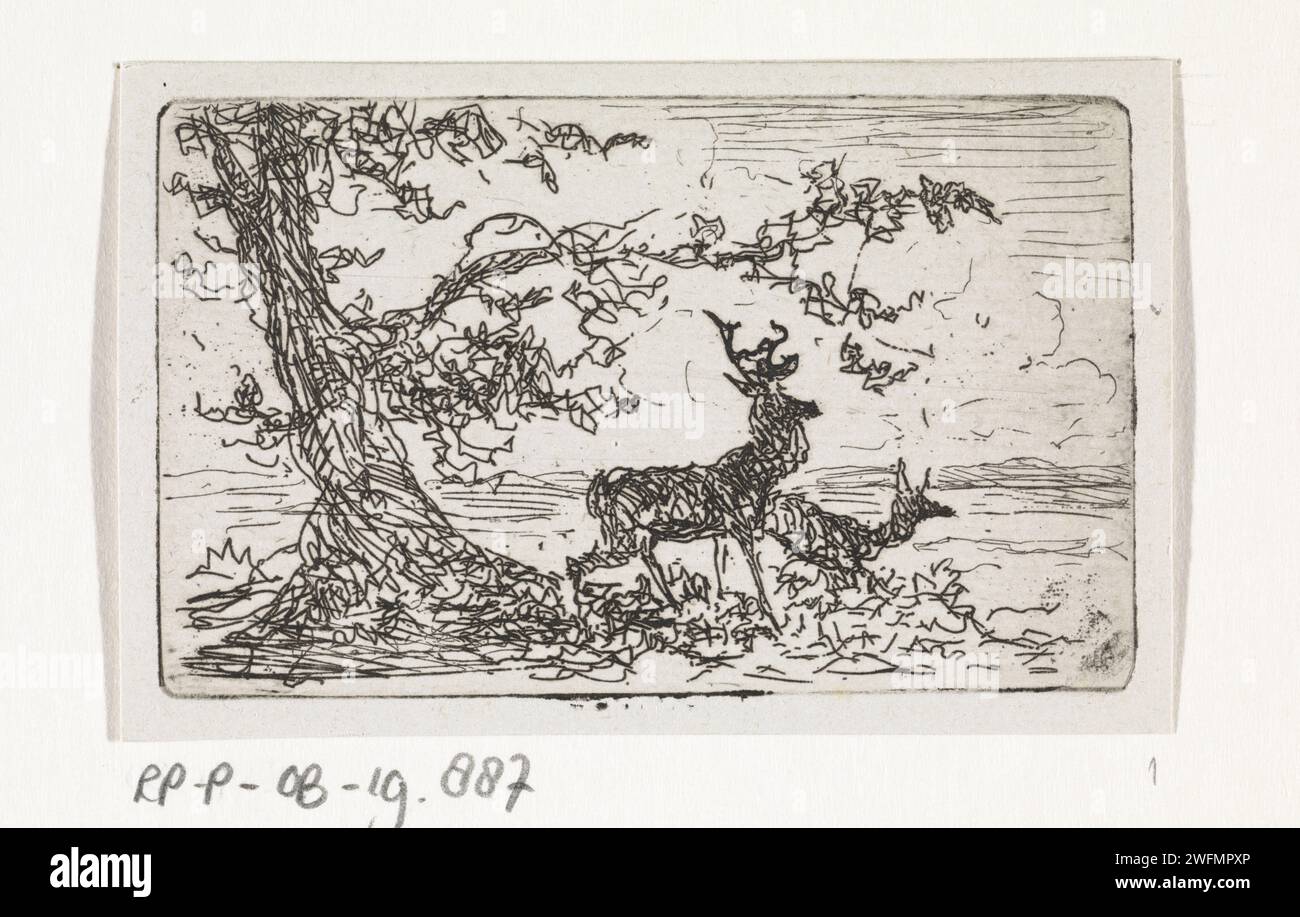 Two deer under a tree, Johannes Taventrate, 1863 print Cleves paper ...