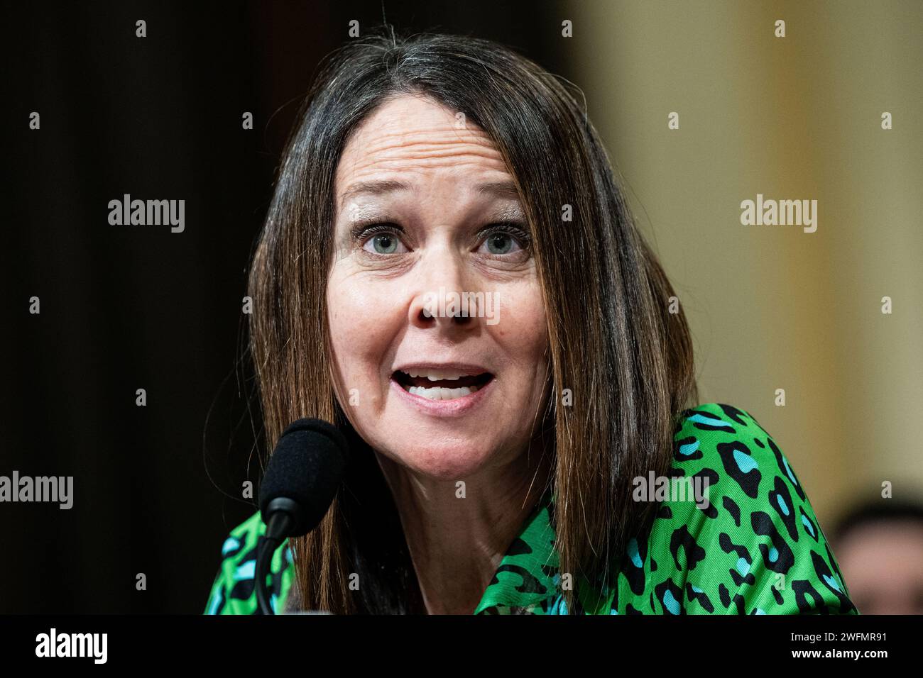 Washington, United States. 31st Jan, 2024. Jen Easterly, Director ...