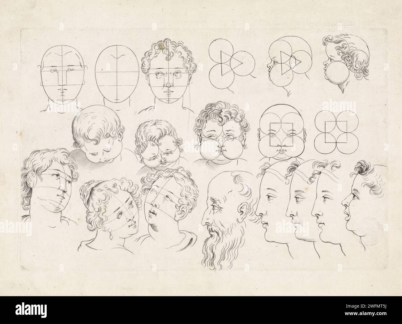 Abnormal proportions hi-res stock photography and images - Alamy