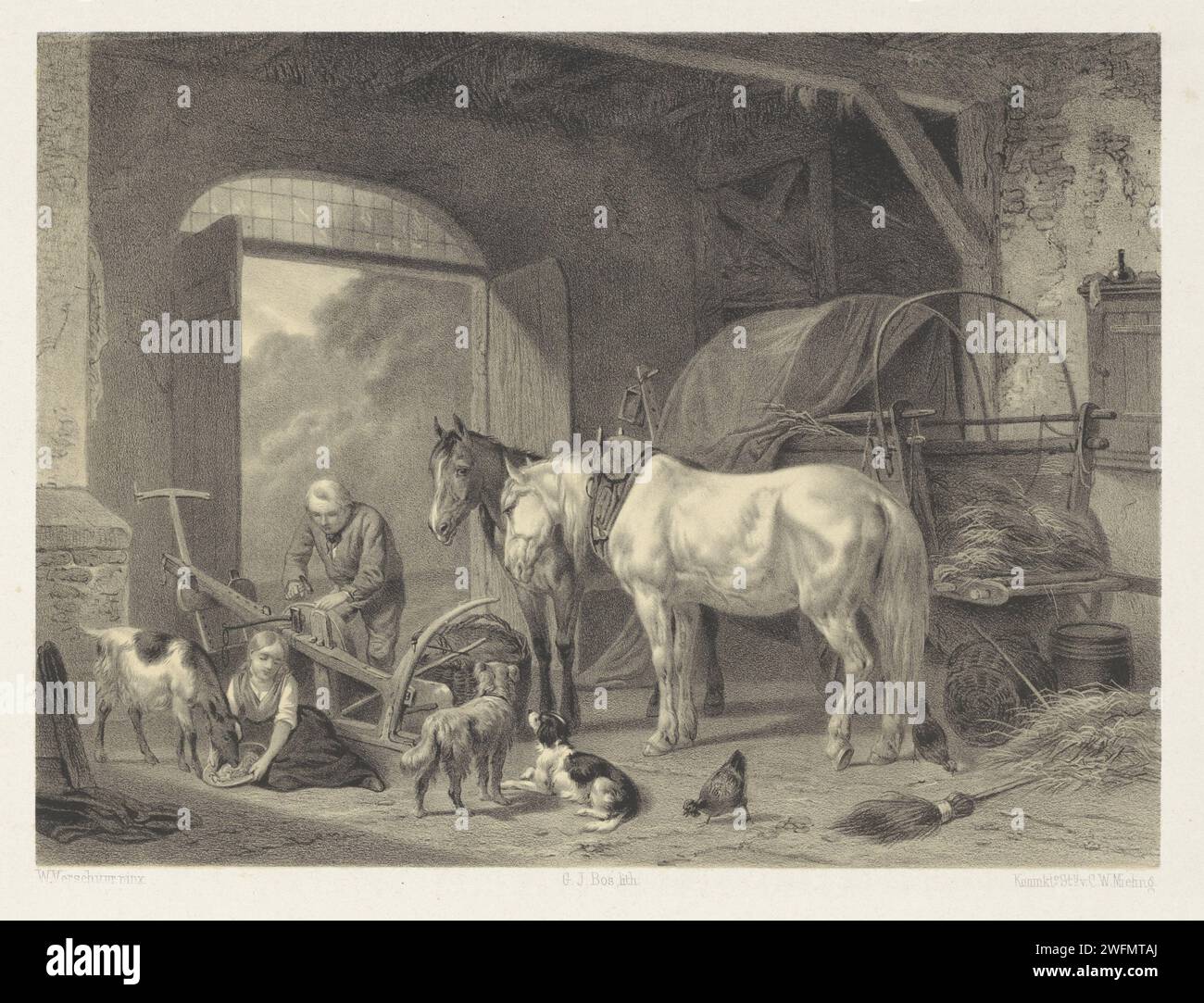 Partly goat hi-res stock photography and images - Alamy