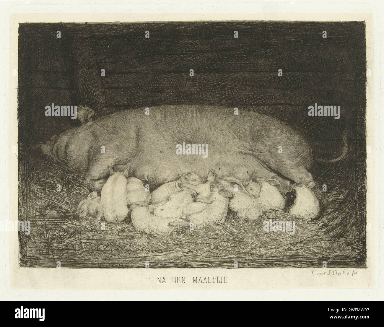 Sow with piglets lying in the stable, Carel Lodewijk Dake, 1867 - 1886 ...