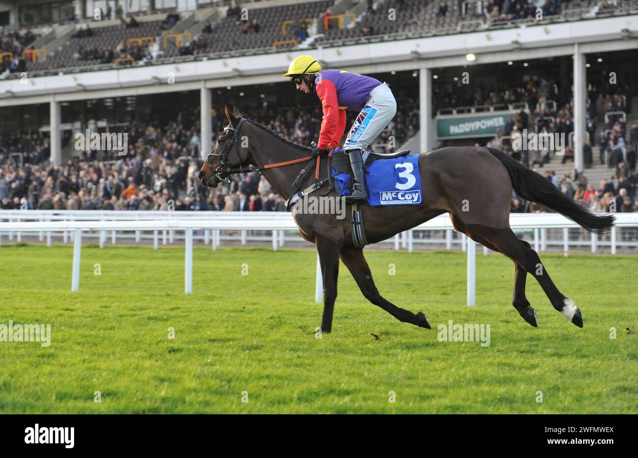 Dashel drasher horse racing hi-res stock photography and images - Alamy