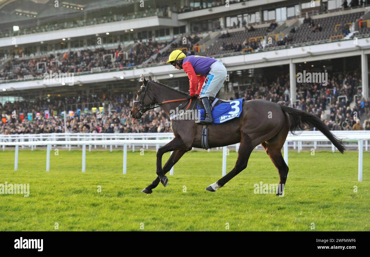 Dashel drasher horse racing hi-res stock photography and images - Alamy