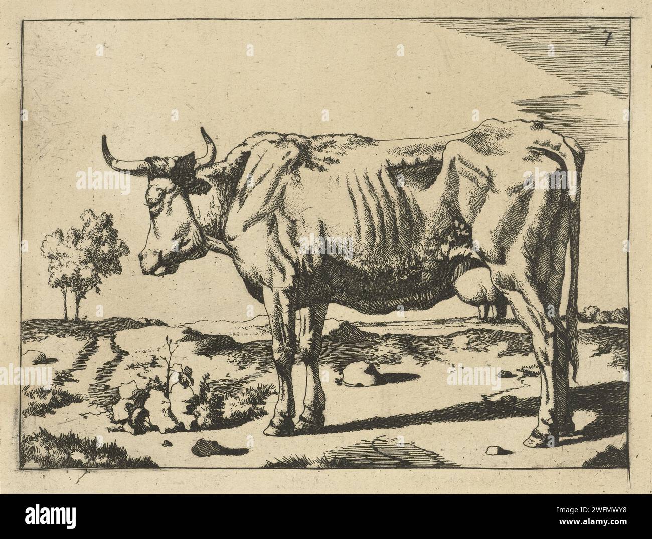 Standing cow, with Boom, 1728 - c. 1761 print The Hague paper etching ...