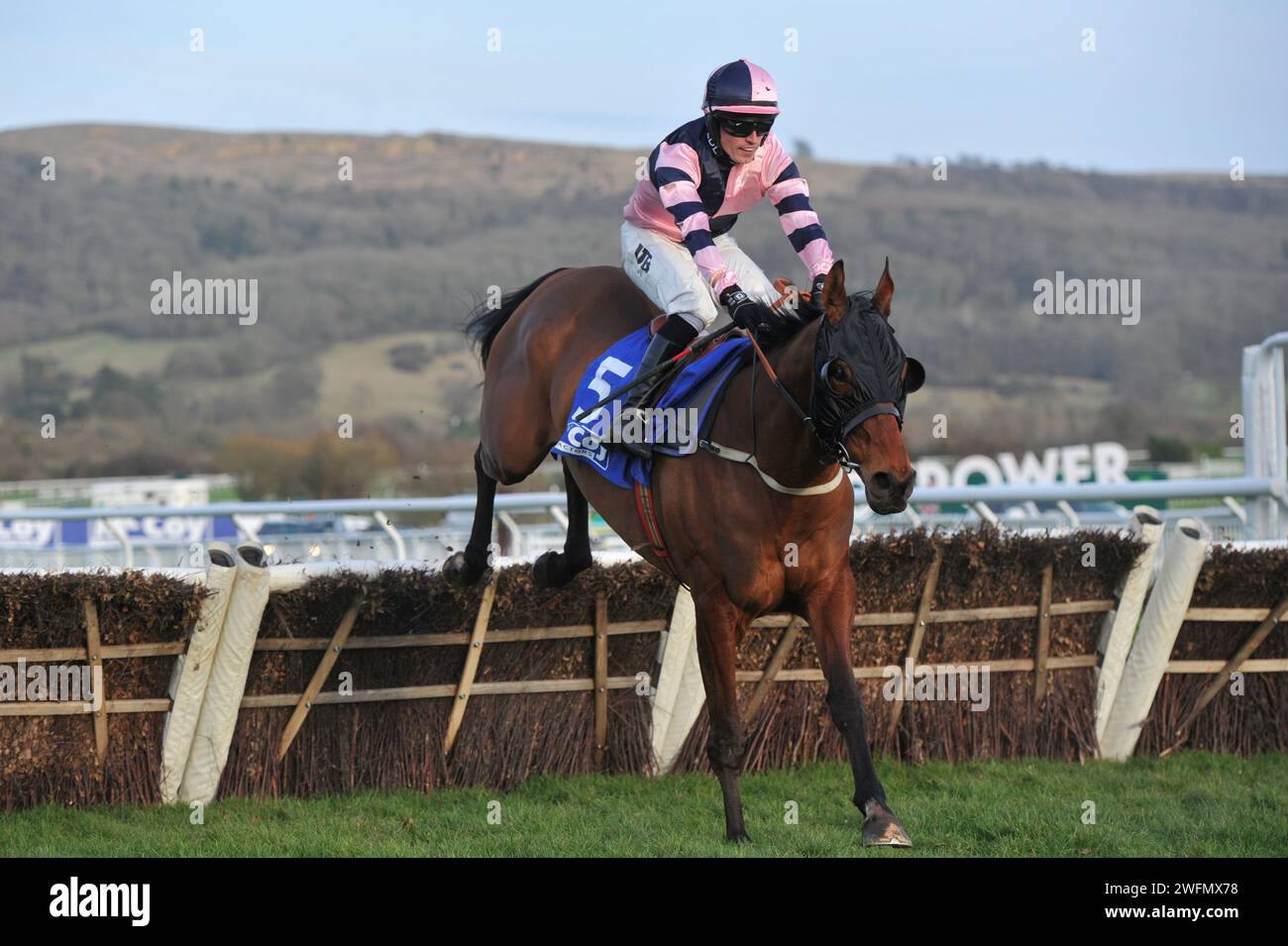 Flight deck racecourse hi-res stock photography and images - Alamy