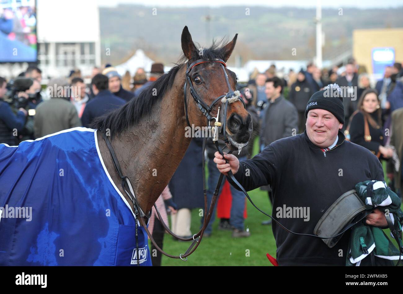 Noble yeats horse cheltenham hi-res stock photography and images - Alamy