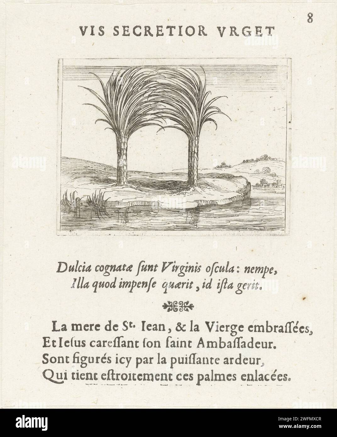 Two palm trees, Jacques Callot, 1625 - 1629 print Presentation of two ...
