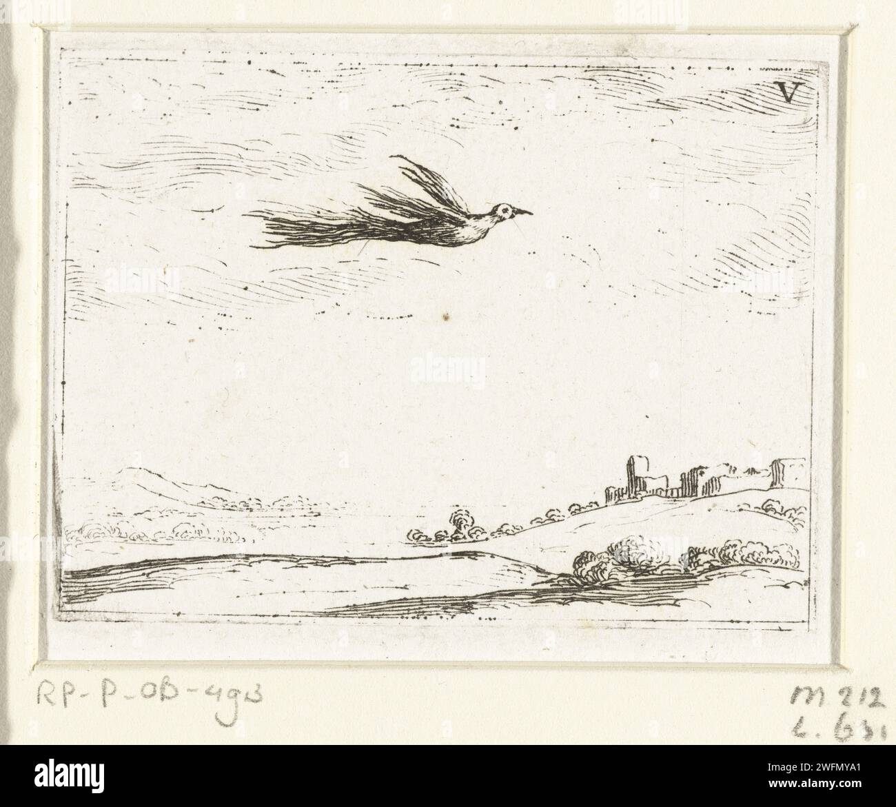 Paradise bird, Jacques Callot, 1646 print Presentation of a bird of ...