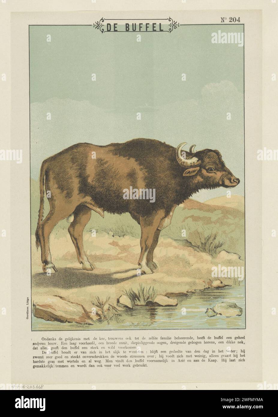 De Buffel, 1894 - 1959 print Leaf with a large representation of a ...