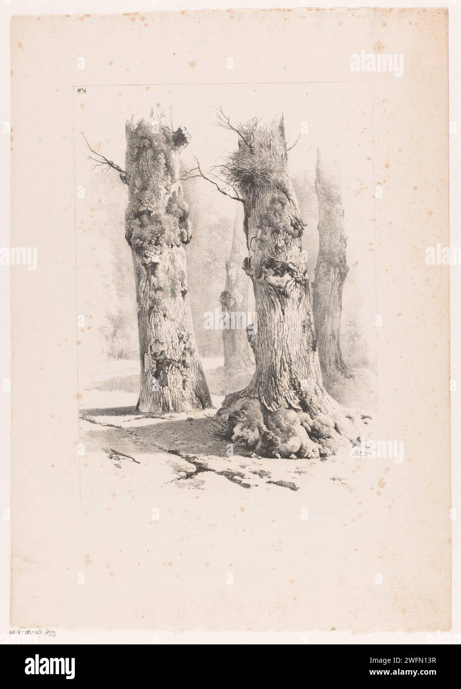 Four tree trunks in the forest, Barend Cornelis Koekkoek, 1829 - 1830 ...