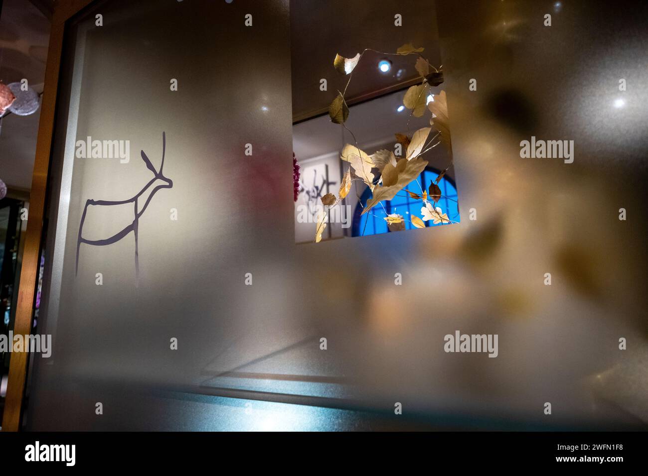 Wildlife displays at the University Museum in Bergen, Norway Stock ...