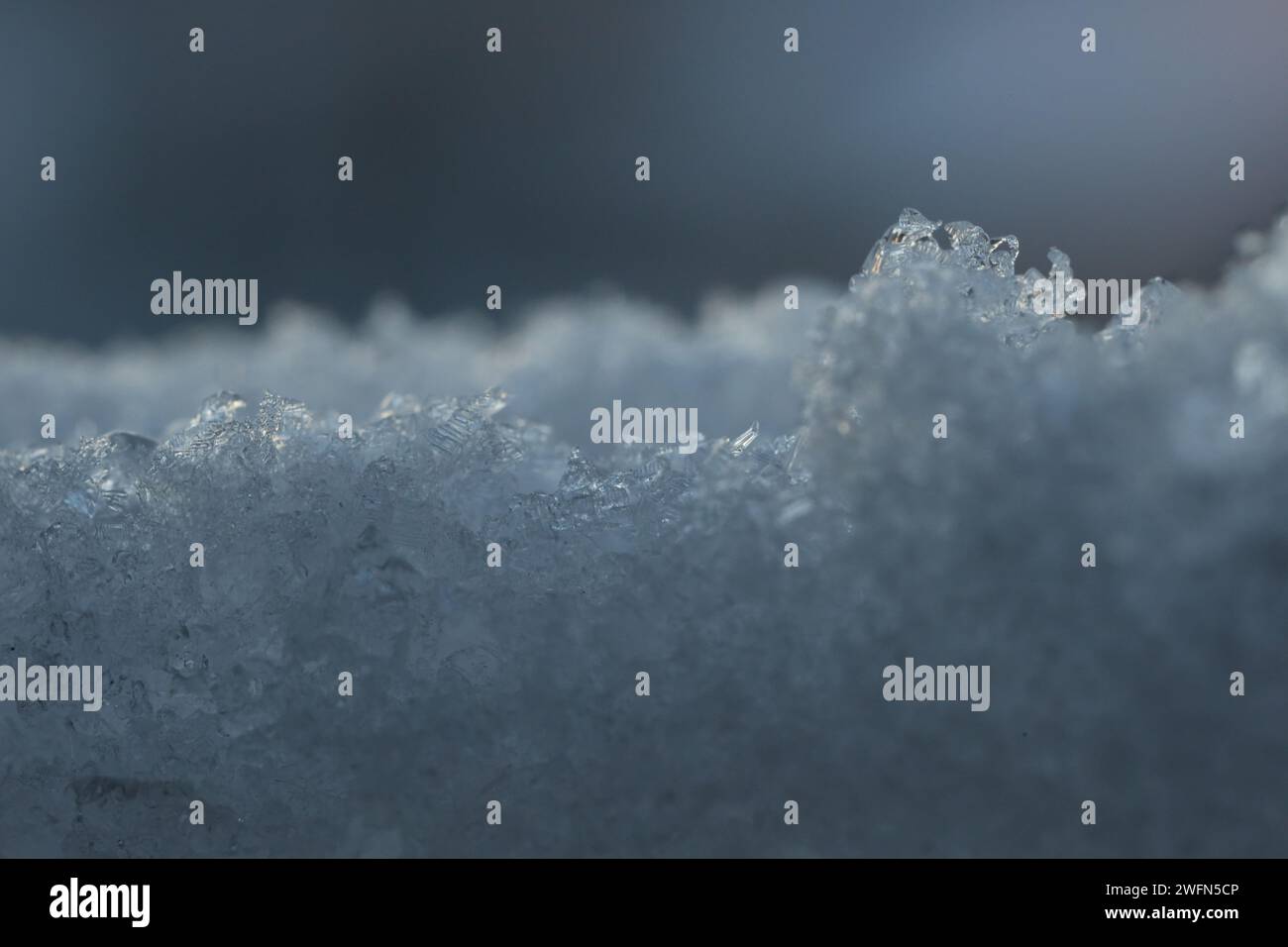 Cool conditions hi-res stock photography and images - Alamy