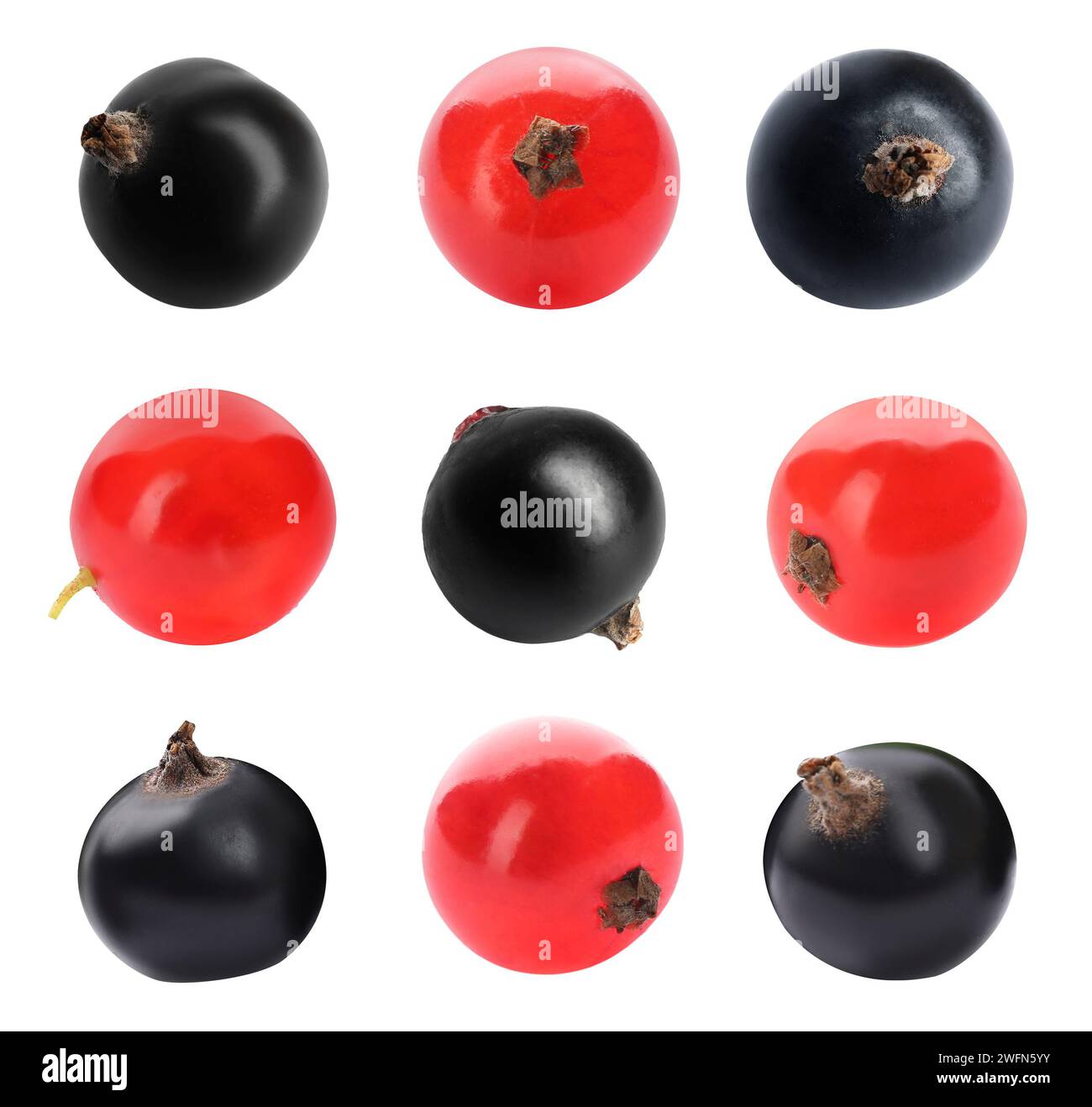 Fresh red and black currants on white background, collection Stock ...