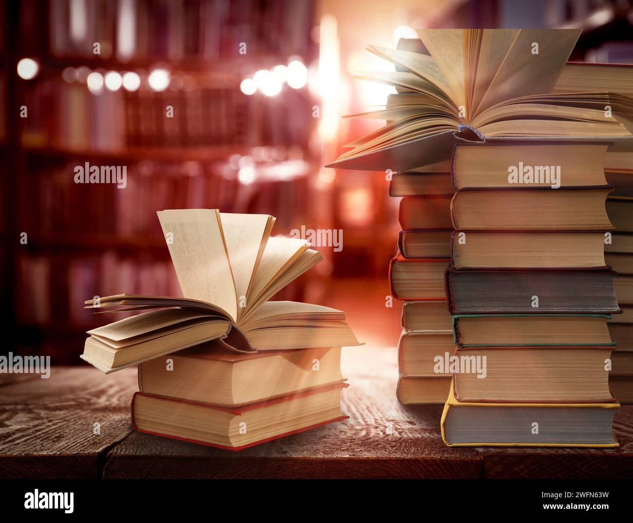Reading in library stacks hi-res stock photography and images - Alamy