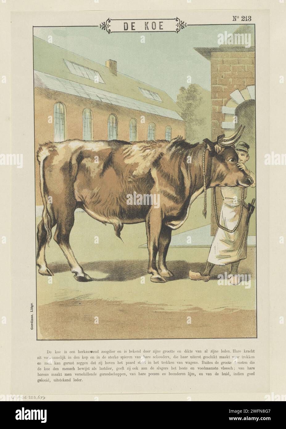 D, 1894 - 1959 print Leaf with a large representation of a cow. A ...