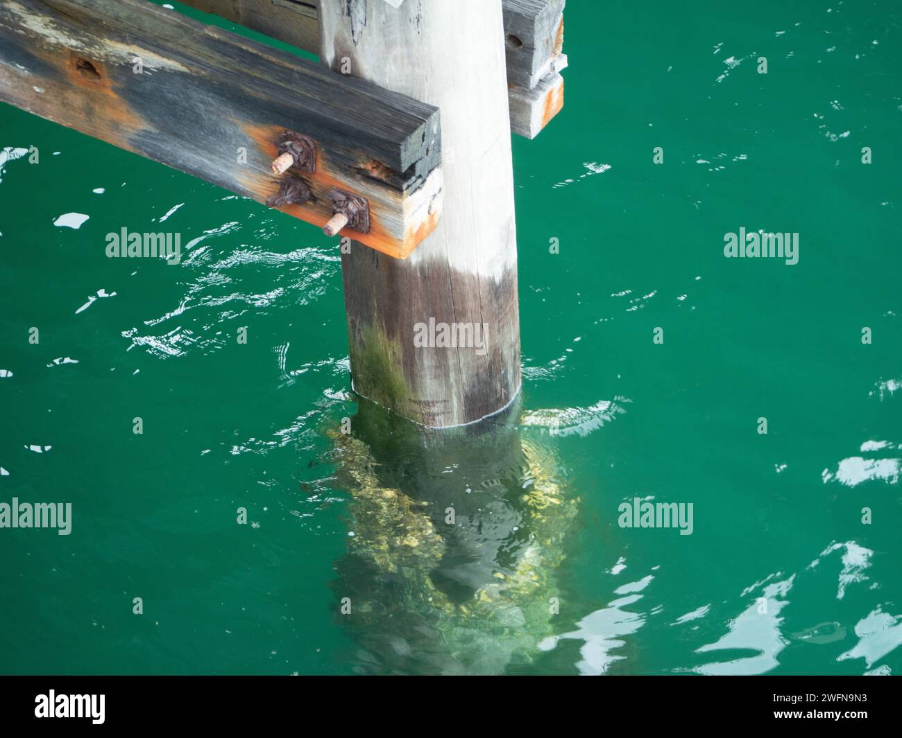 Wooden Jetty Pier with corrosion on bolts causing rust marks , blue ...