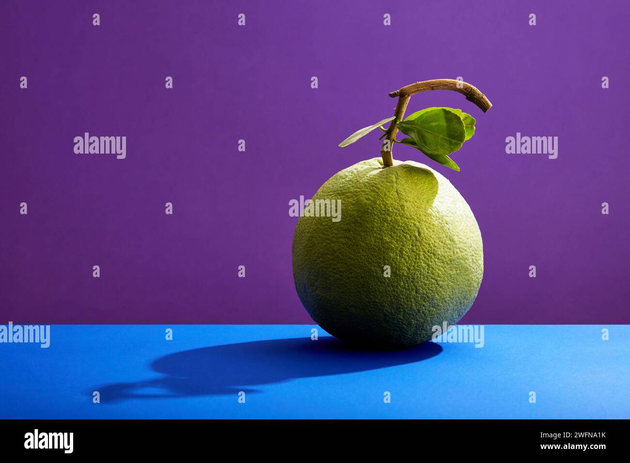 A pink pomelo (Citrus maxima) isolated on a colorful background with ...