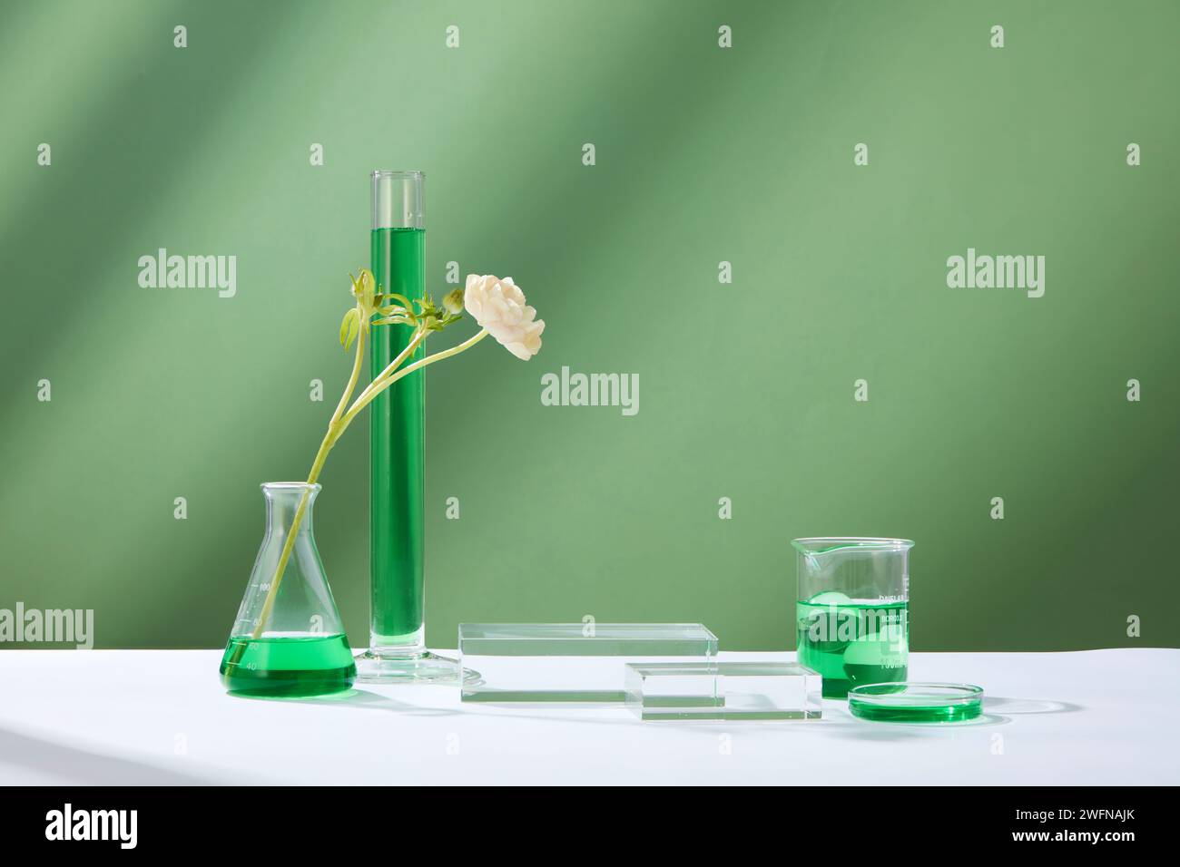 Laboratory glassware containing transparent hi-res stock photography ...