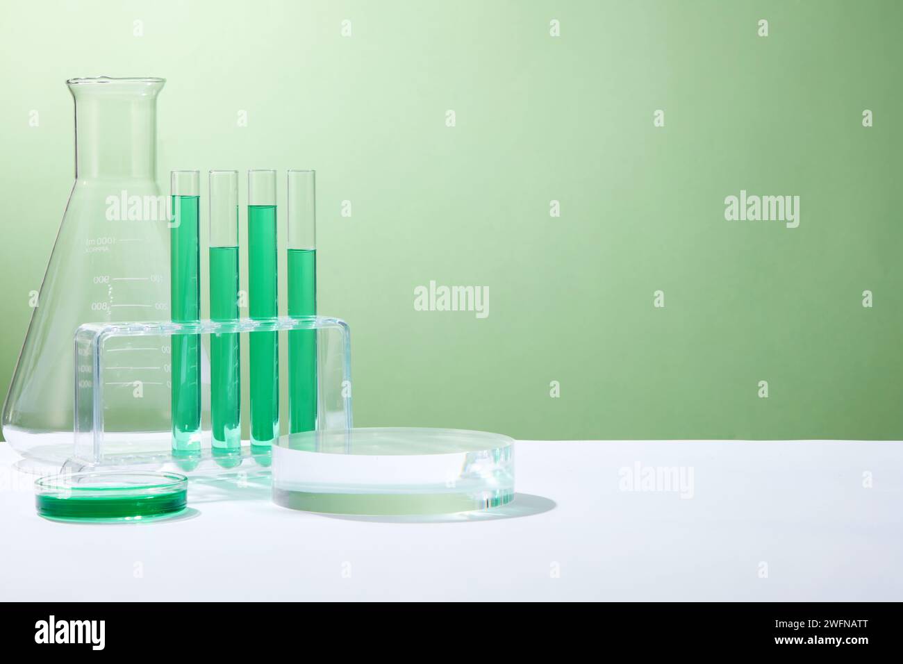 Green liquid contained inside erlenmeyer flask, petri dish and some ...