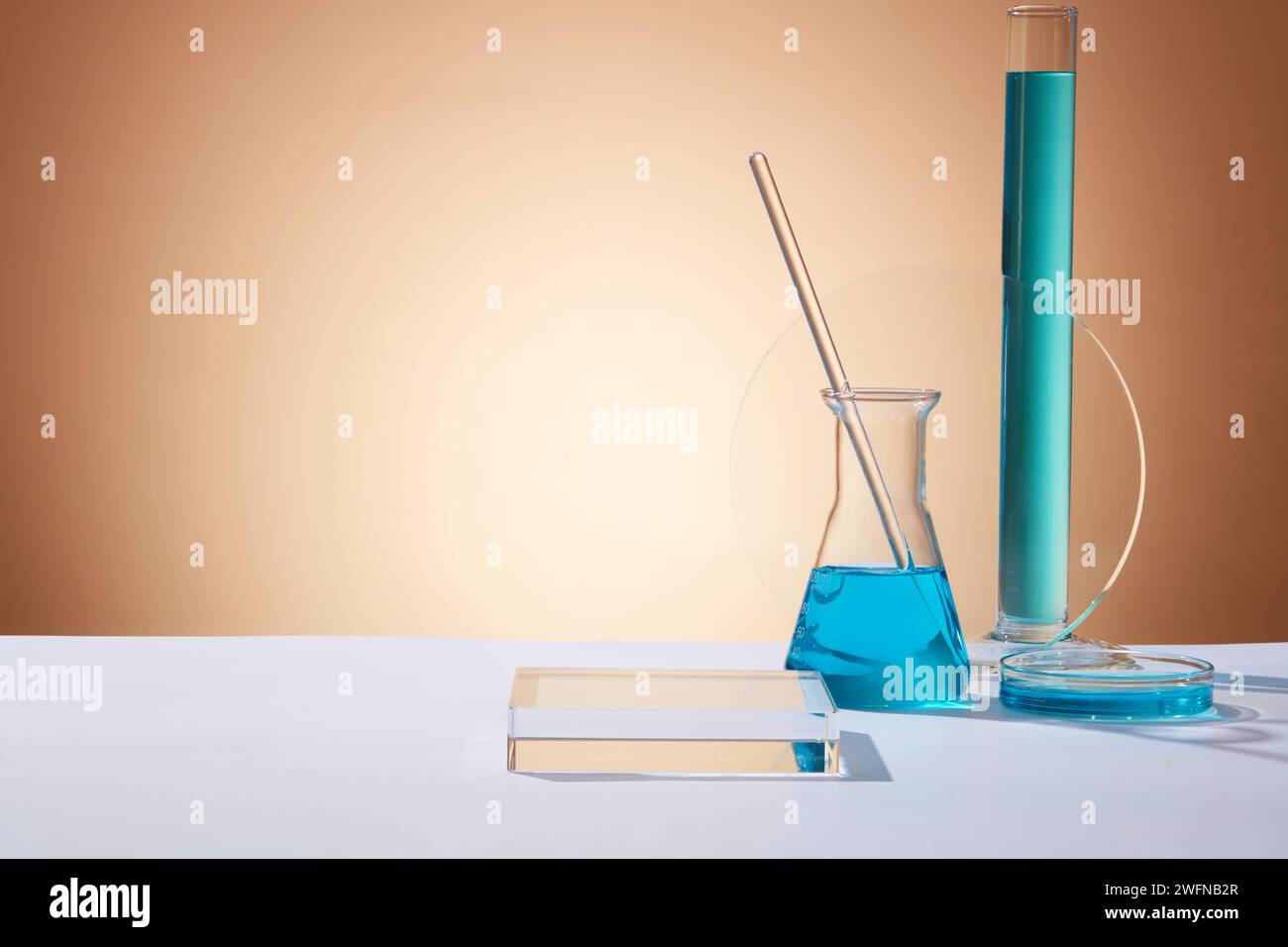 An erlenmeyer flask with a glass rod inside, test tube and petri dish ...