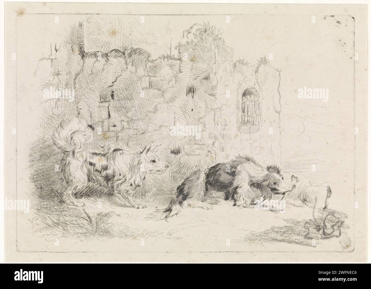 Two dogs, Jan Karel Jacob de Jonge, 1851 print Landscape with ruins and ...