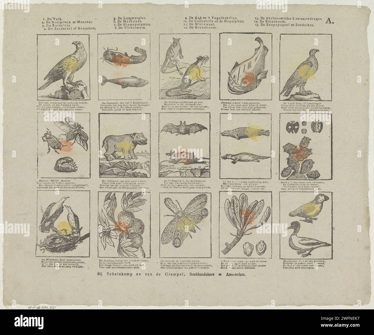 Animals, insects and plants, 1806 - 1837 print Leaf with 15 ...