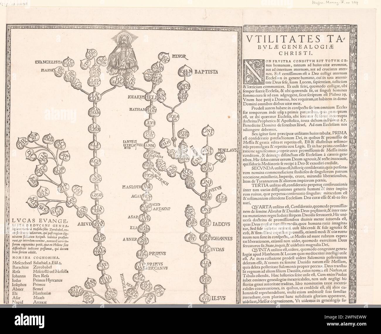 Stamboom hi-res stock photography and images - Alamy