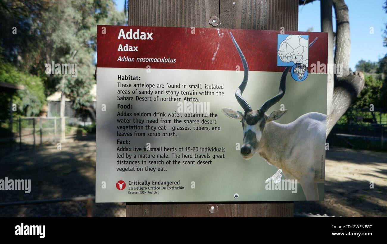 Los Angeles, California, USA 29th January 2024 Addax Sign at LA Zoo on ...