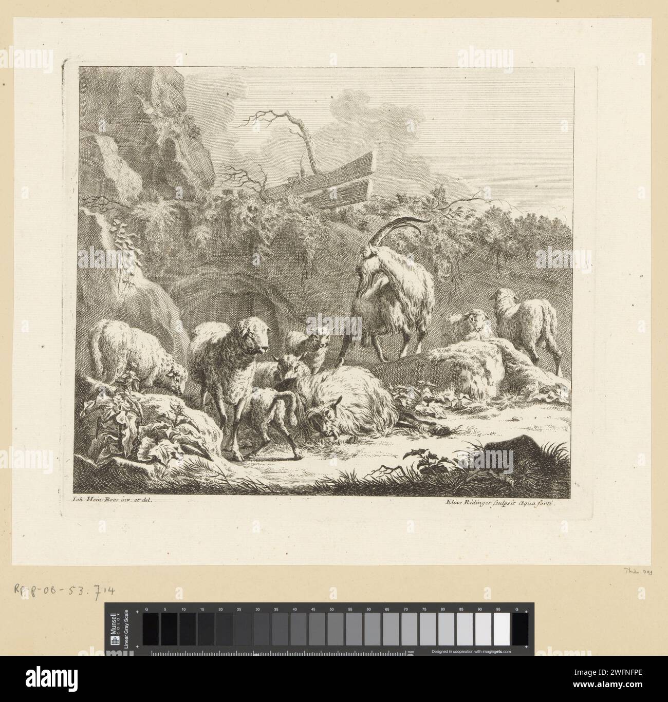 Herd of sheep and goats, Johann Elias Ridinger, after Johann Heinrich ...