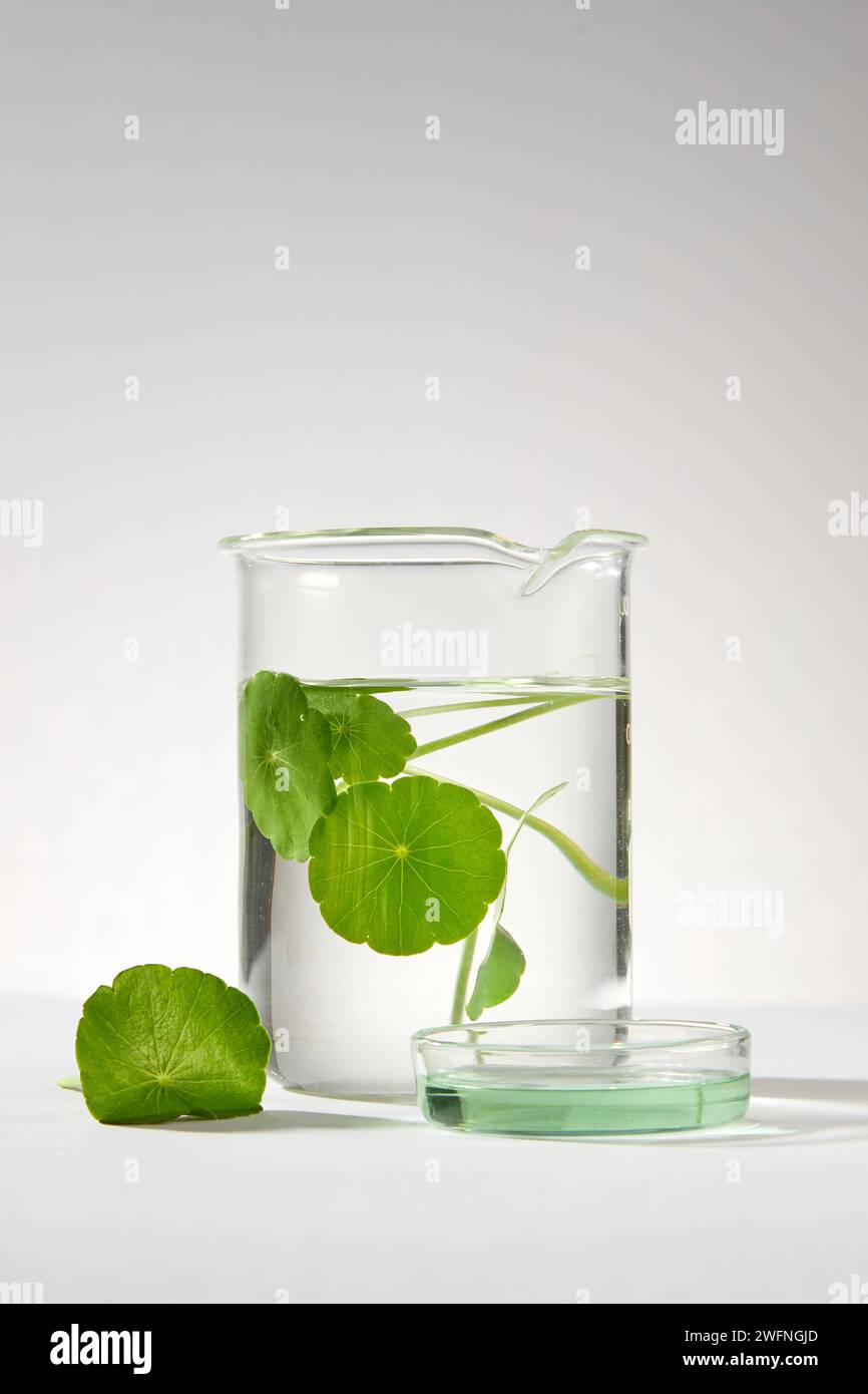 Beaker of water hi-res stock photography and images - Alamy