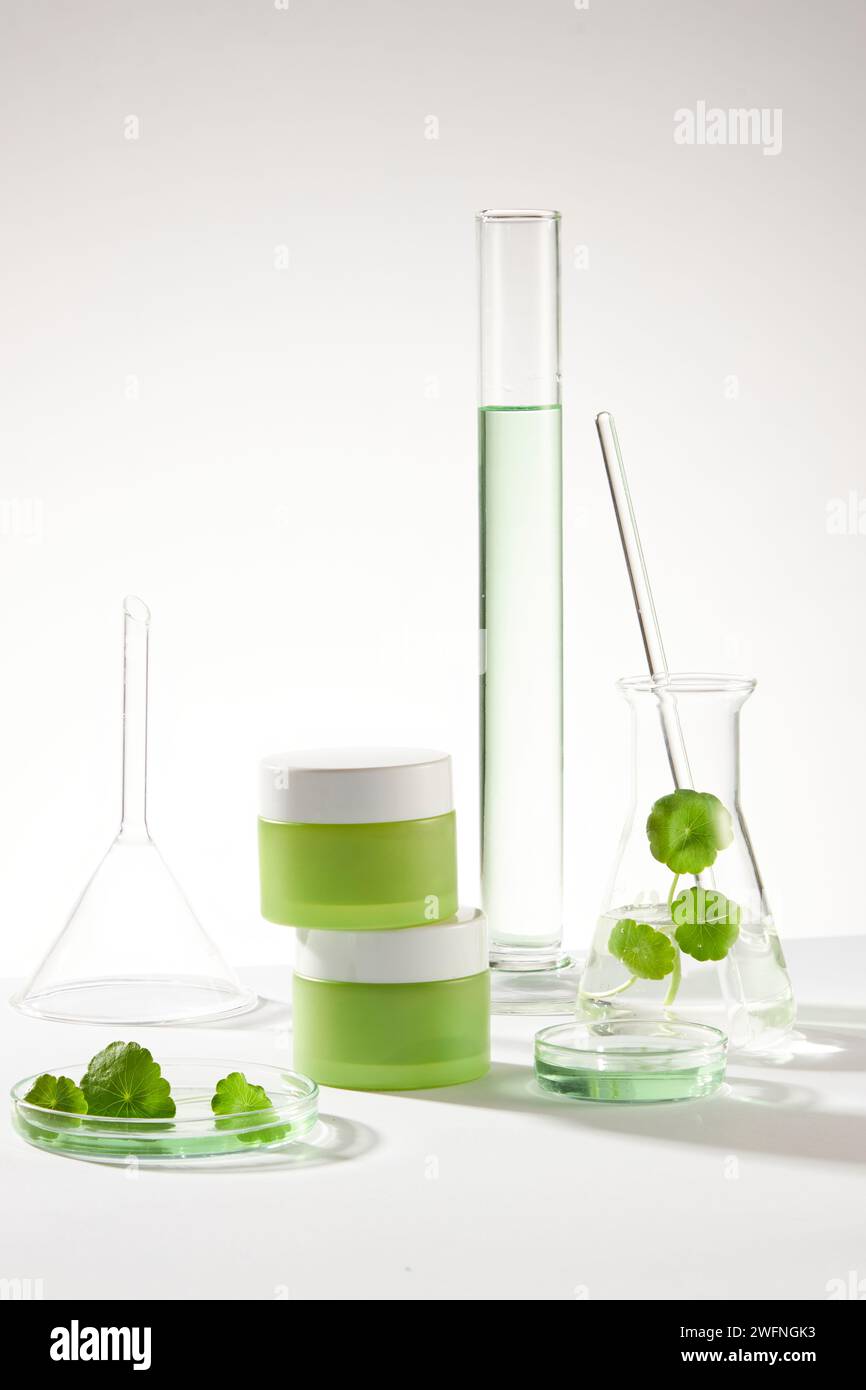 An erlenmeyer flask with glass rod and gotu kola leaves, petri dish and ...