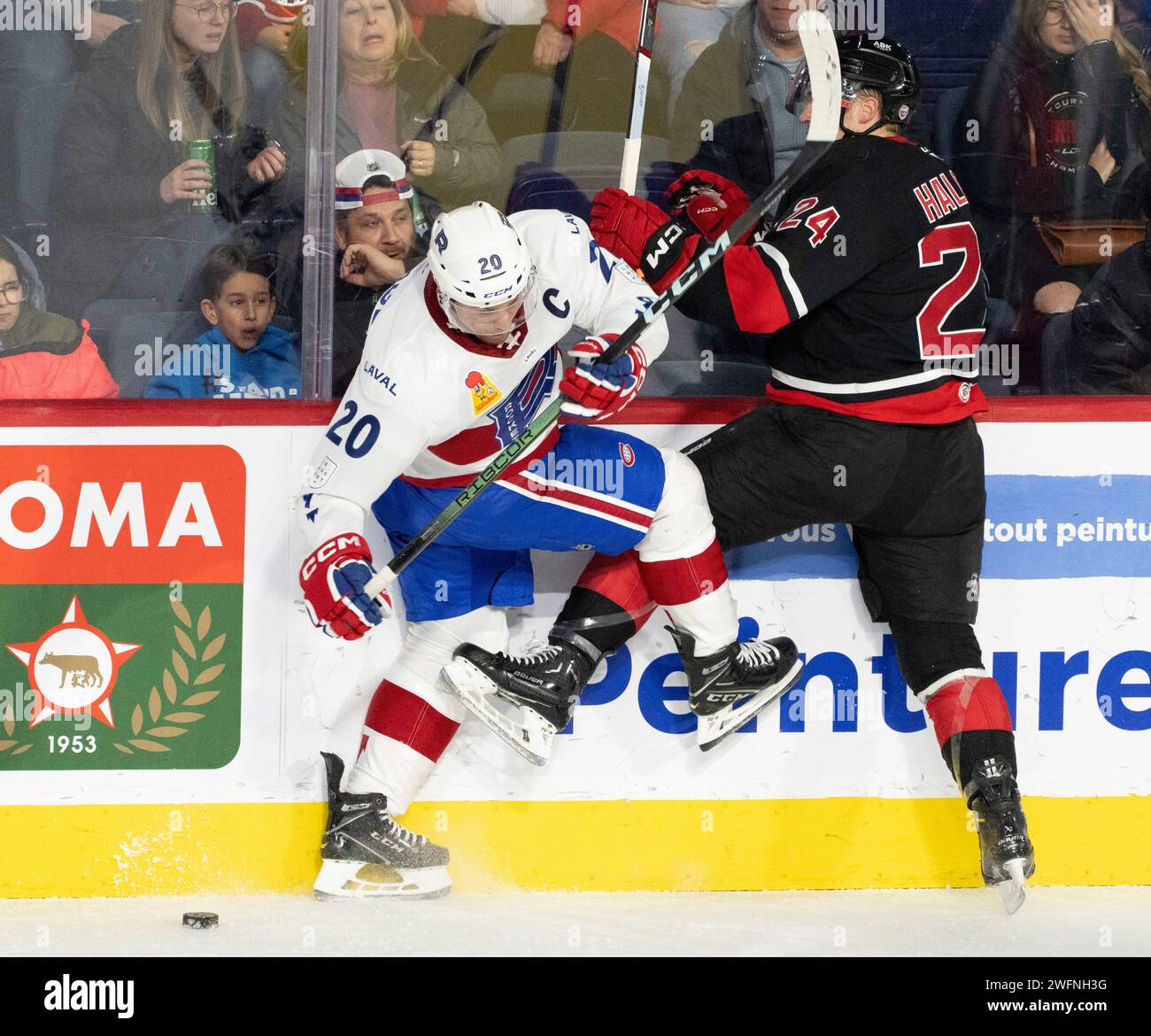 Laval, Canada. 31st Jan, 2024. January 31, 2024, Laval, Pq, CANADA ...