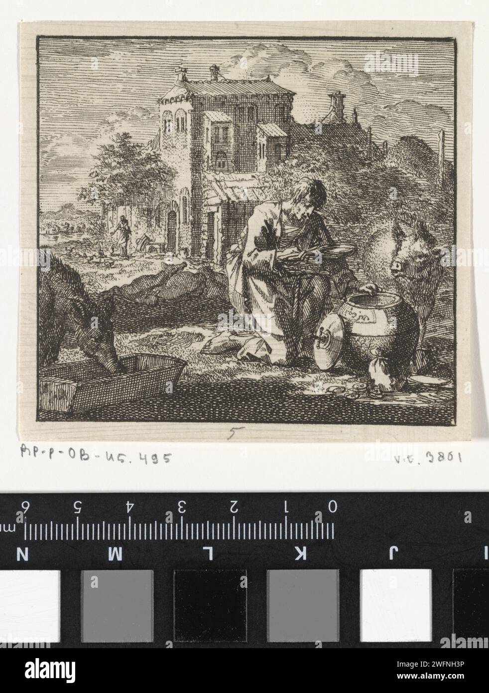 Poor man sits among the pigs and takes food from a barrel in the form ...