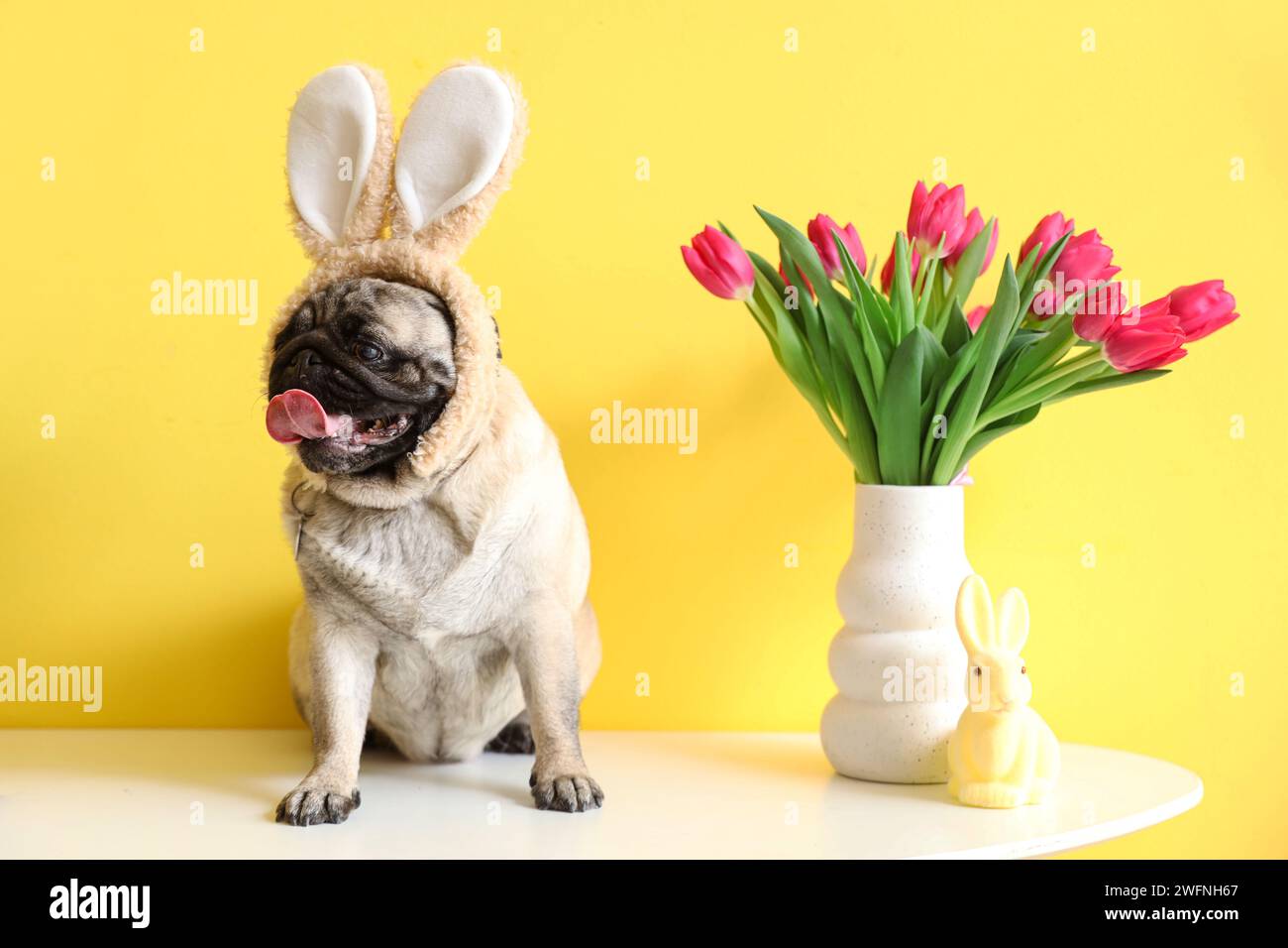 Cute pug dog in bunny ears with tulips and Easter rabbit on table ...