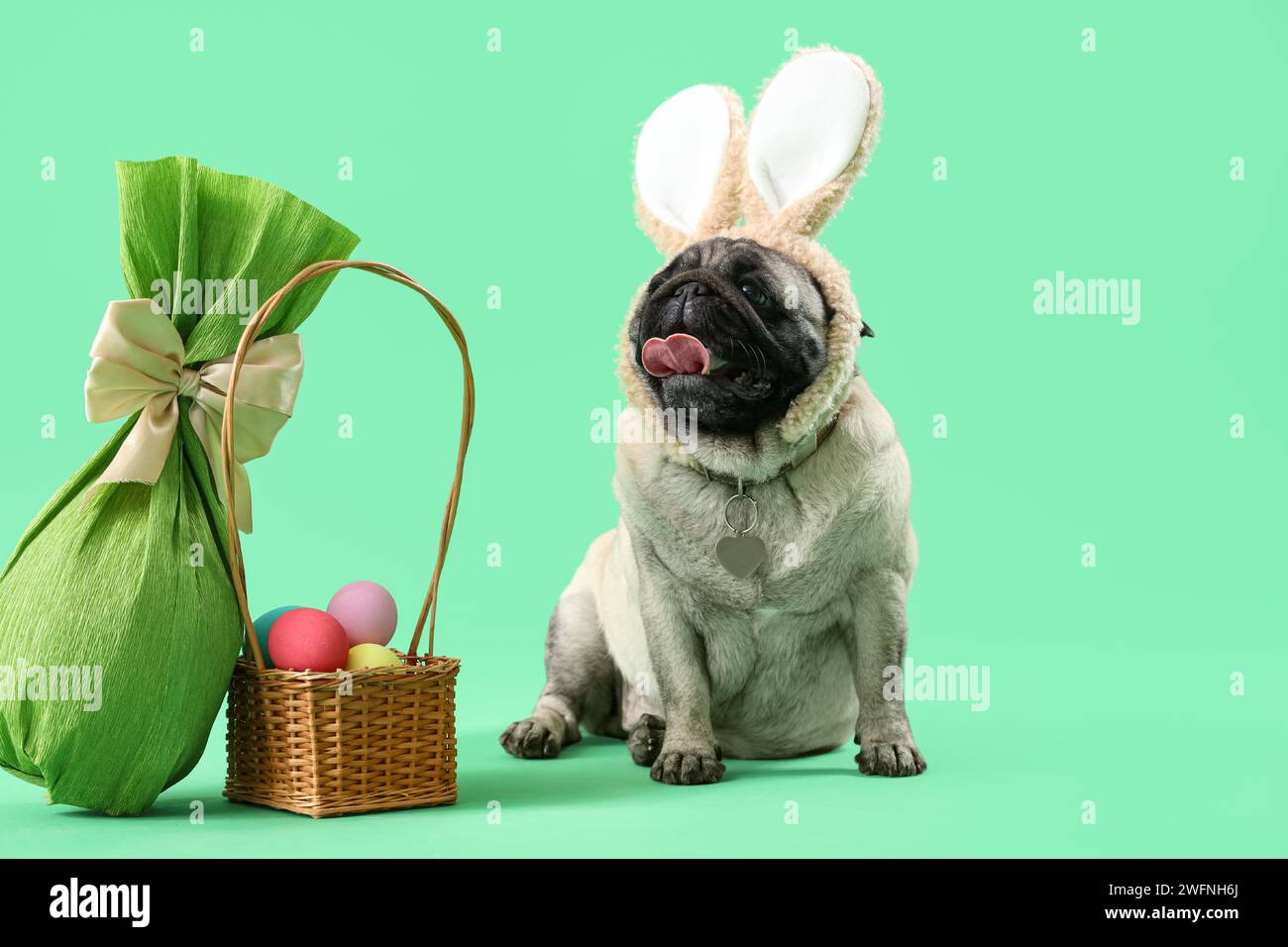 Cute pug dog in bunny ears with Easter eggs on green background Stock ...