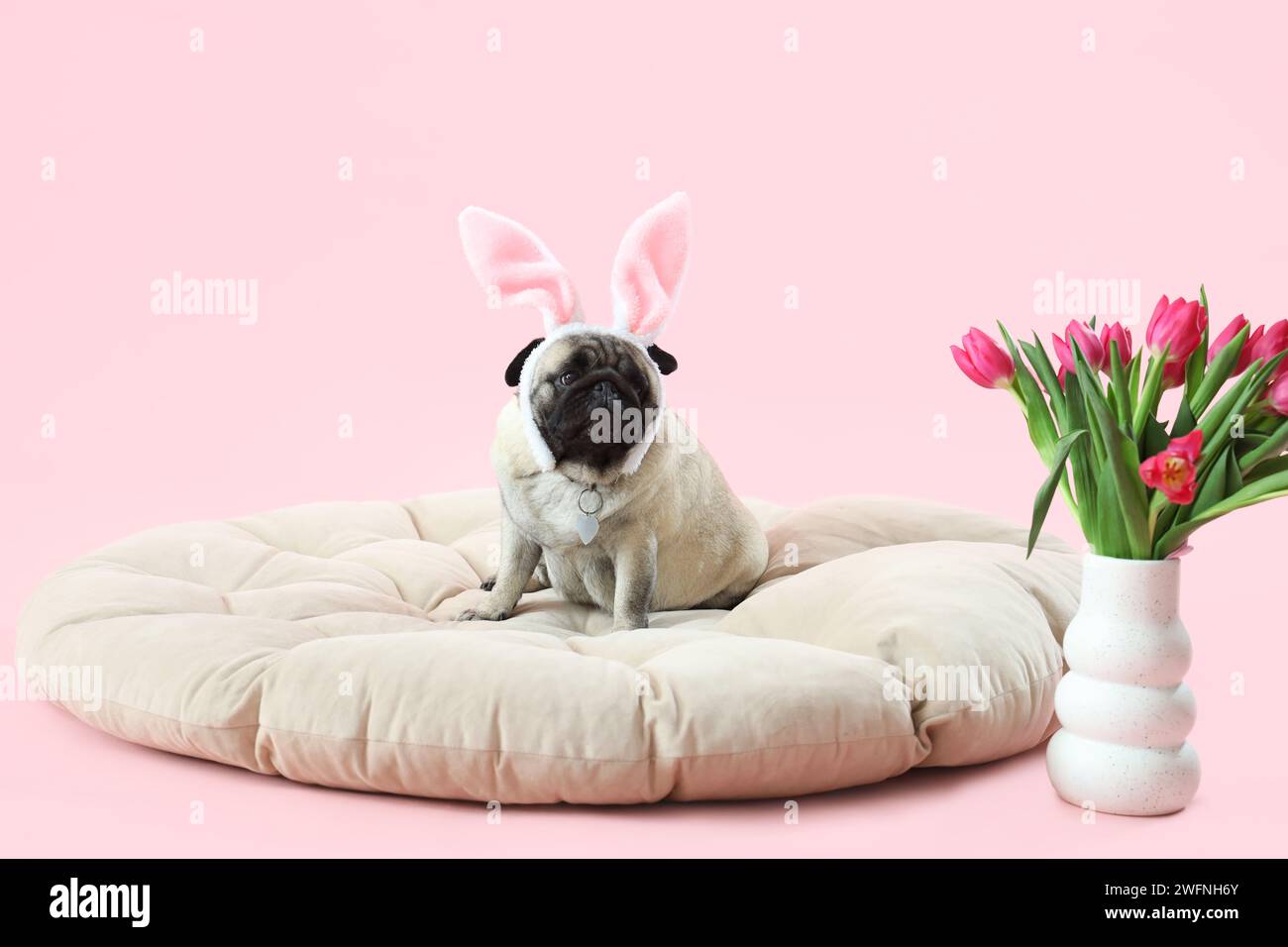 Cute pug dog in bunny ears and vase with tulips on pink background ...