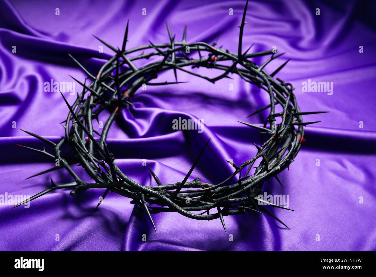 Crown of thorns on purple fabric Stock Photo - Alamy