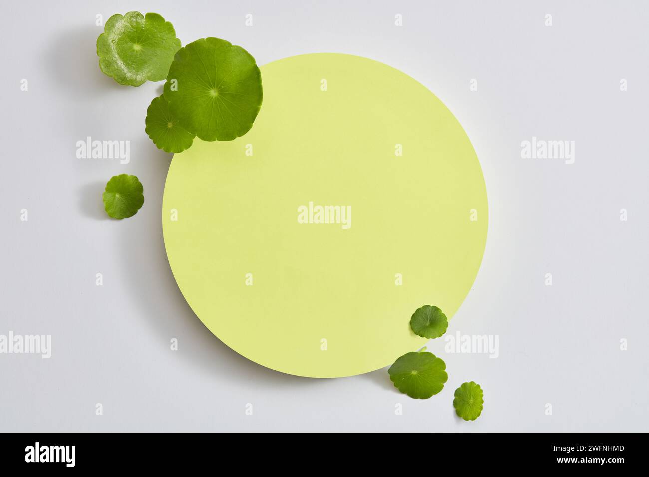 Few circle hi-res stock photography and images - Alamy