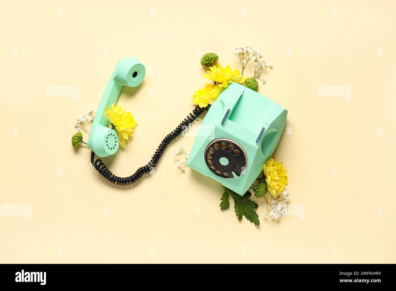 Retro telephone with beautiful gypsophila and chrysanthemum flowers on ...