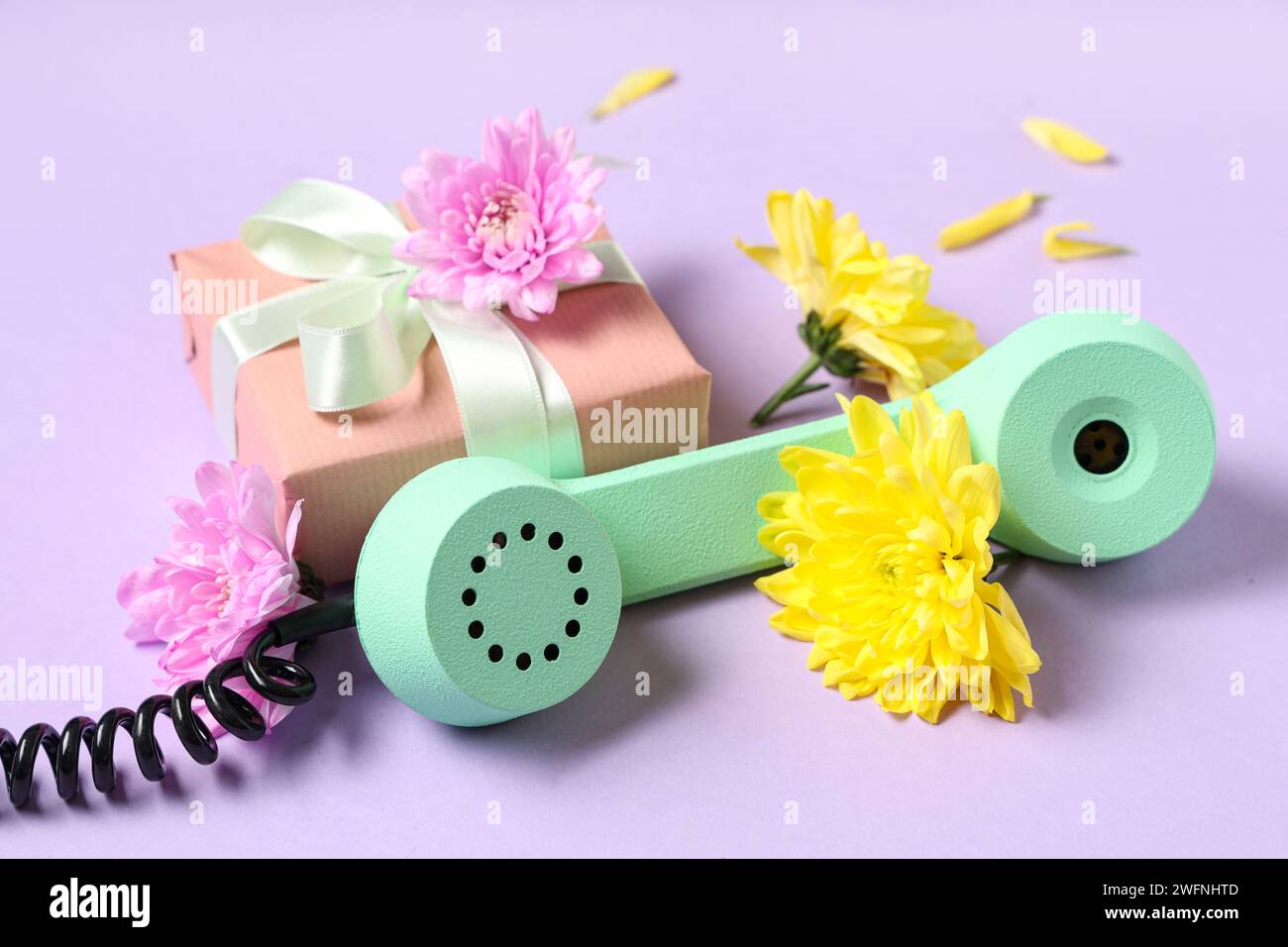 Retro telephone with beautiful chrysanthemum flowers and gift box on ...