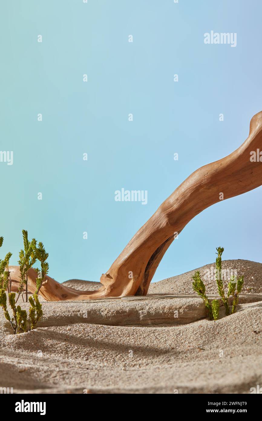 A desert scene with sand, green tree and tree branch for natural ...