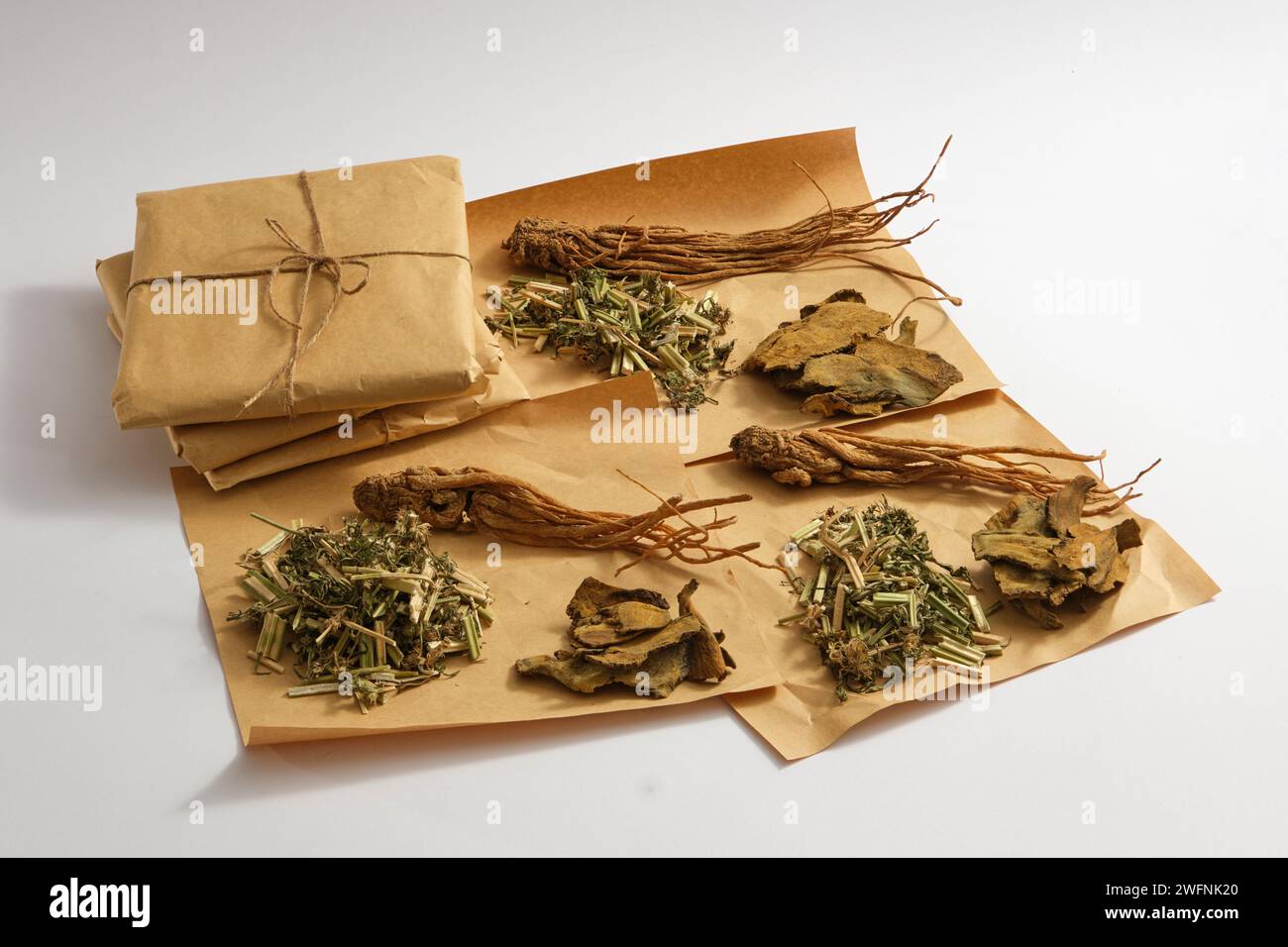 Rhubarb root and rhizome hi-res stock photography and images - Alamy