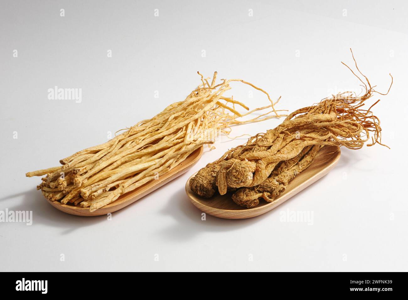 Dang shen and Angelica root placed on two wooden dish on white ...