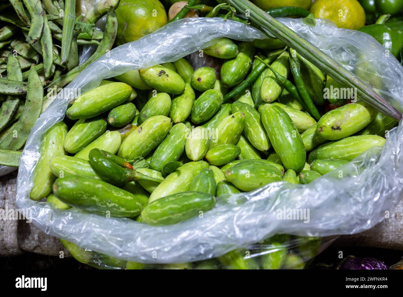 Ivy gourd or scarlet gourds green vegetables at vegetable store for ...