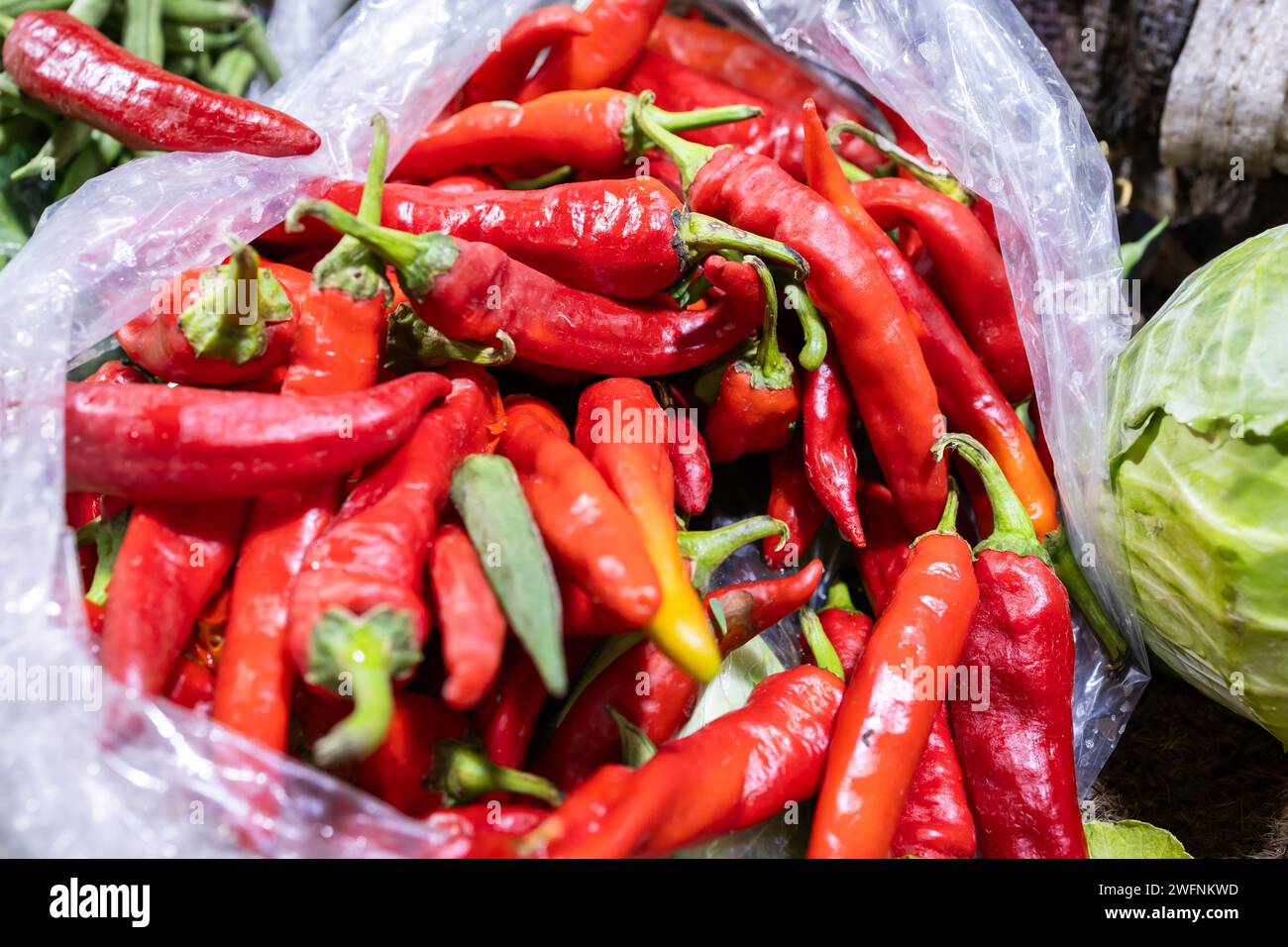 Giant red chilli pepper at vegetable store for sale at evening Stock ...