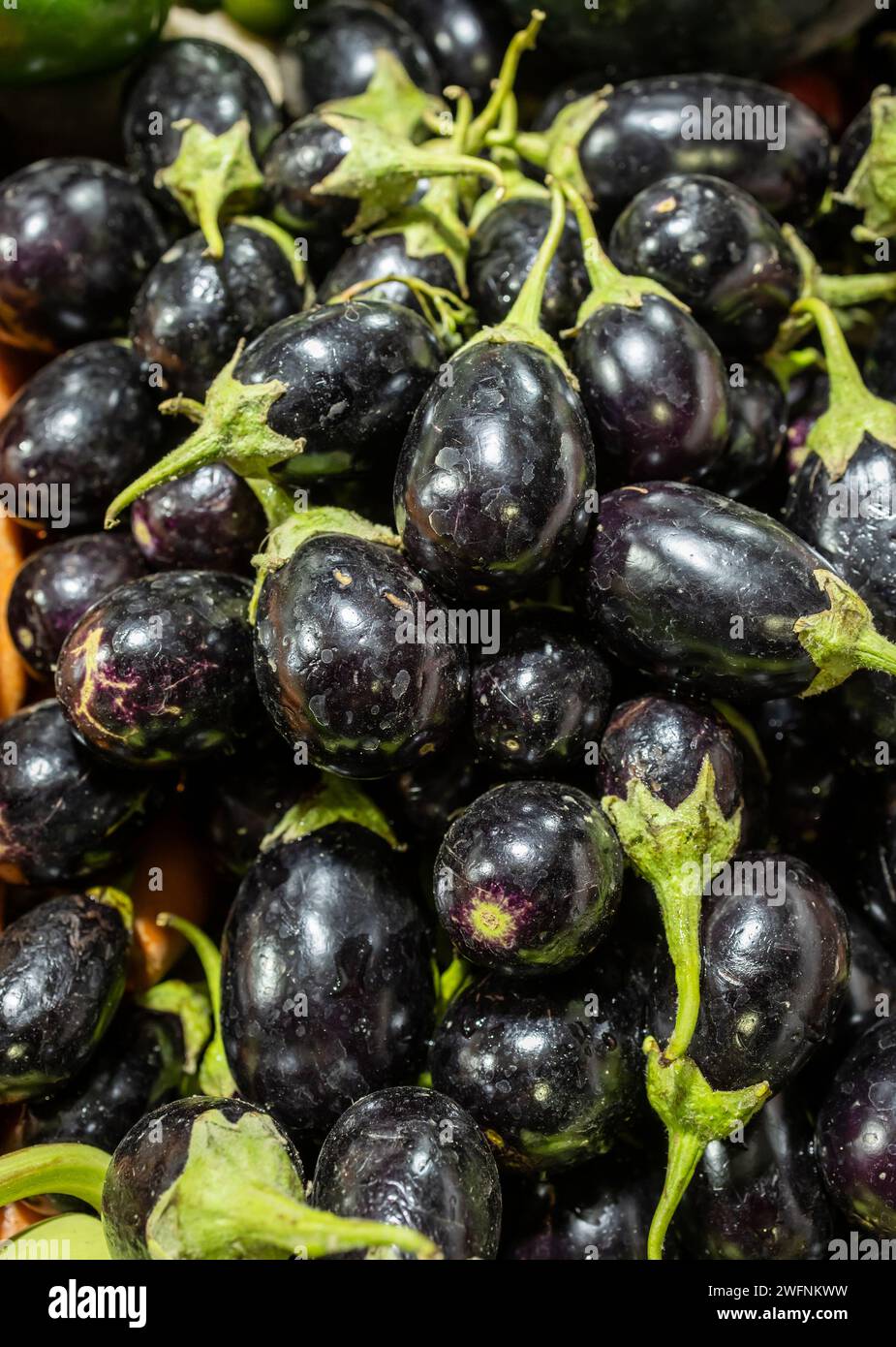fresh brinjal at vegetable store for sale at evening Stock Photo - Alamy