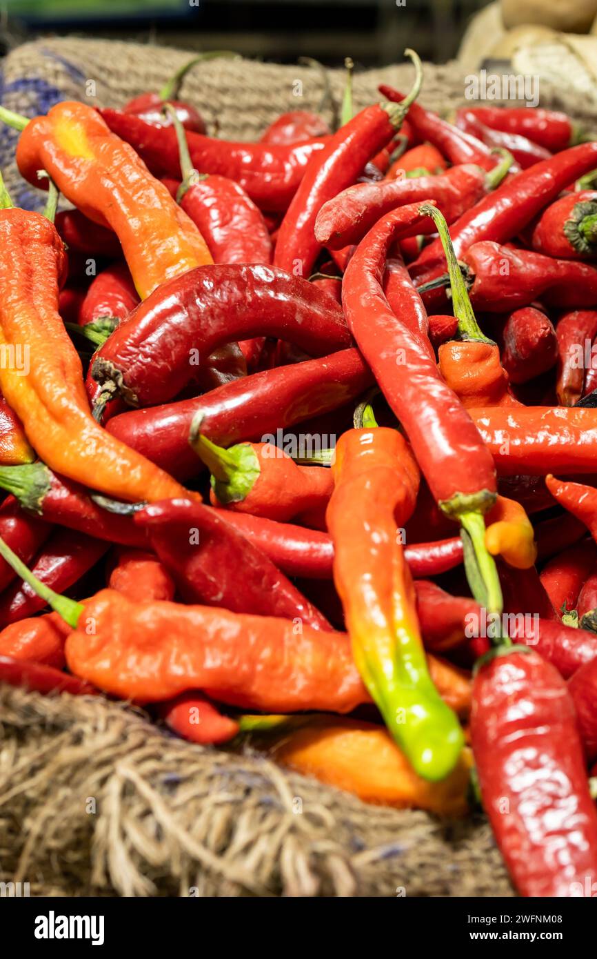 Giant red chilli pepper at vegetable store for sale at evening Stock ...