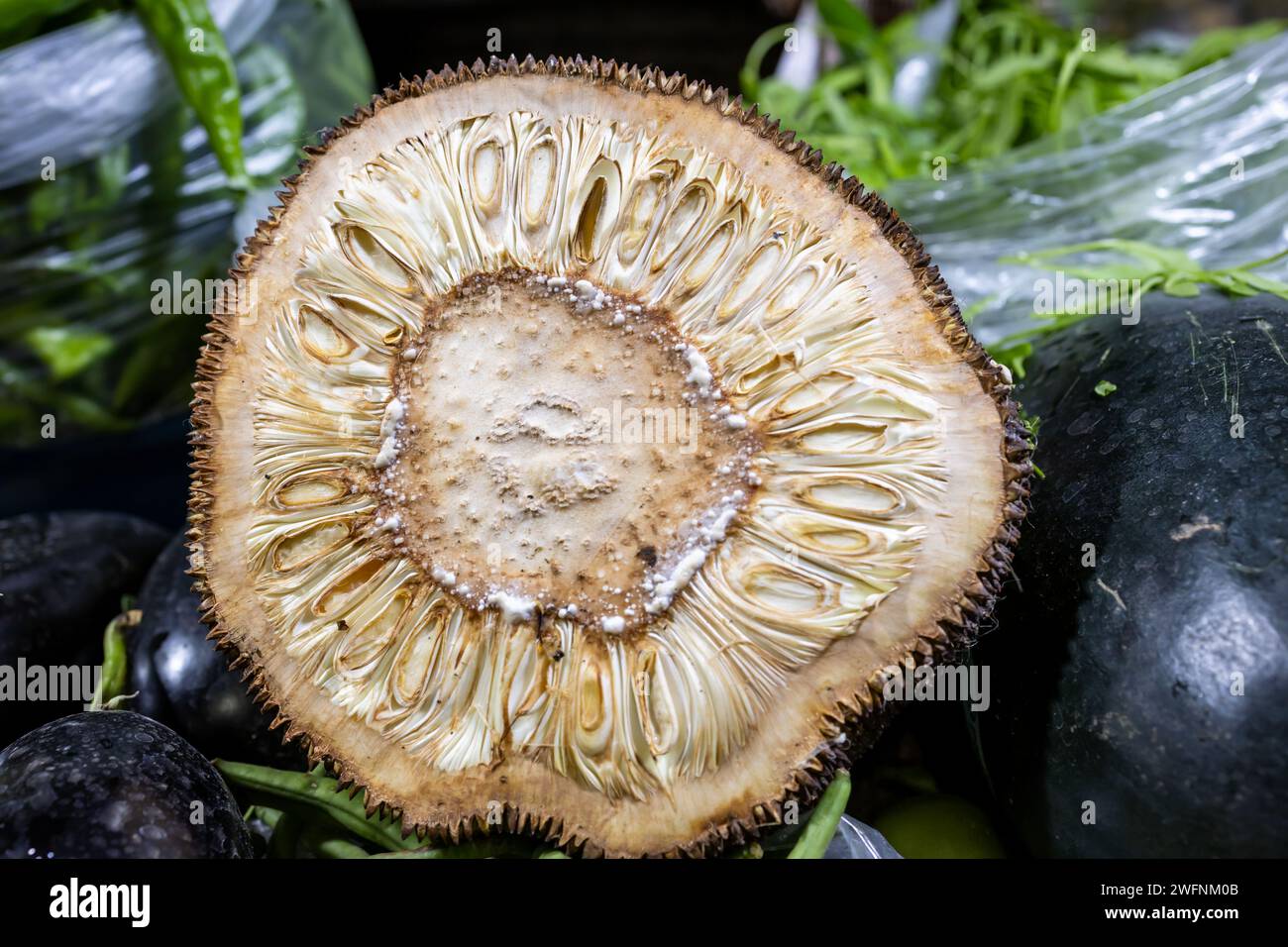 How to cut jackfruit hi-res stock photography and images - Alamy