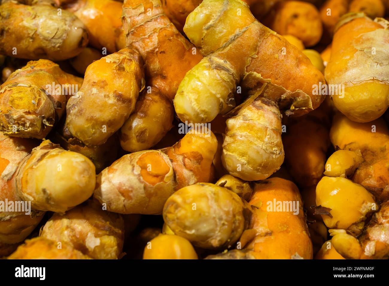 raw turmeric vegetables at vegetable store for sale at evening Stock ...