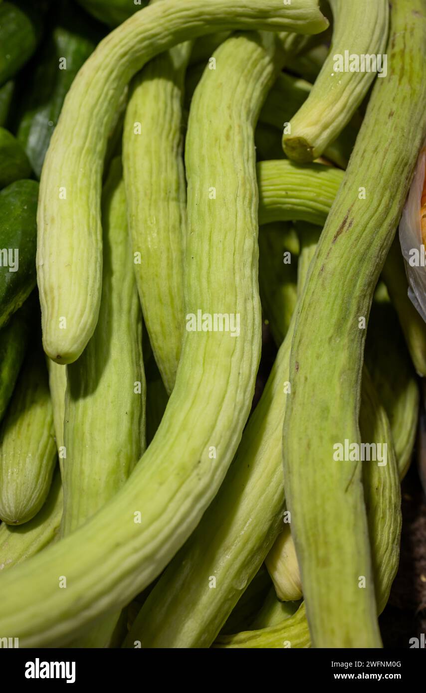 Indian cucumbers hi-res stock photography and images - Alamy